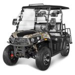 Vitacci Rover 200 EFI Golf Cart - FamilyGoKarts.com