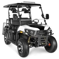 Vitacci Rover 200 EFI Golf Cart - FamilyGoKarts.com
